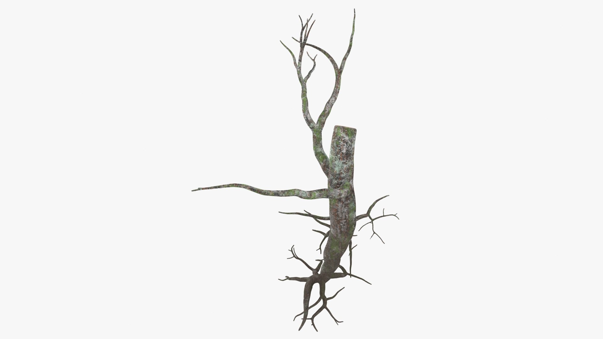 3D Model Tree Root 01 Color 2 - TurboSquid 2139565