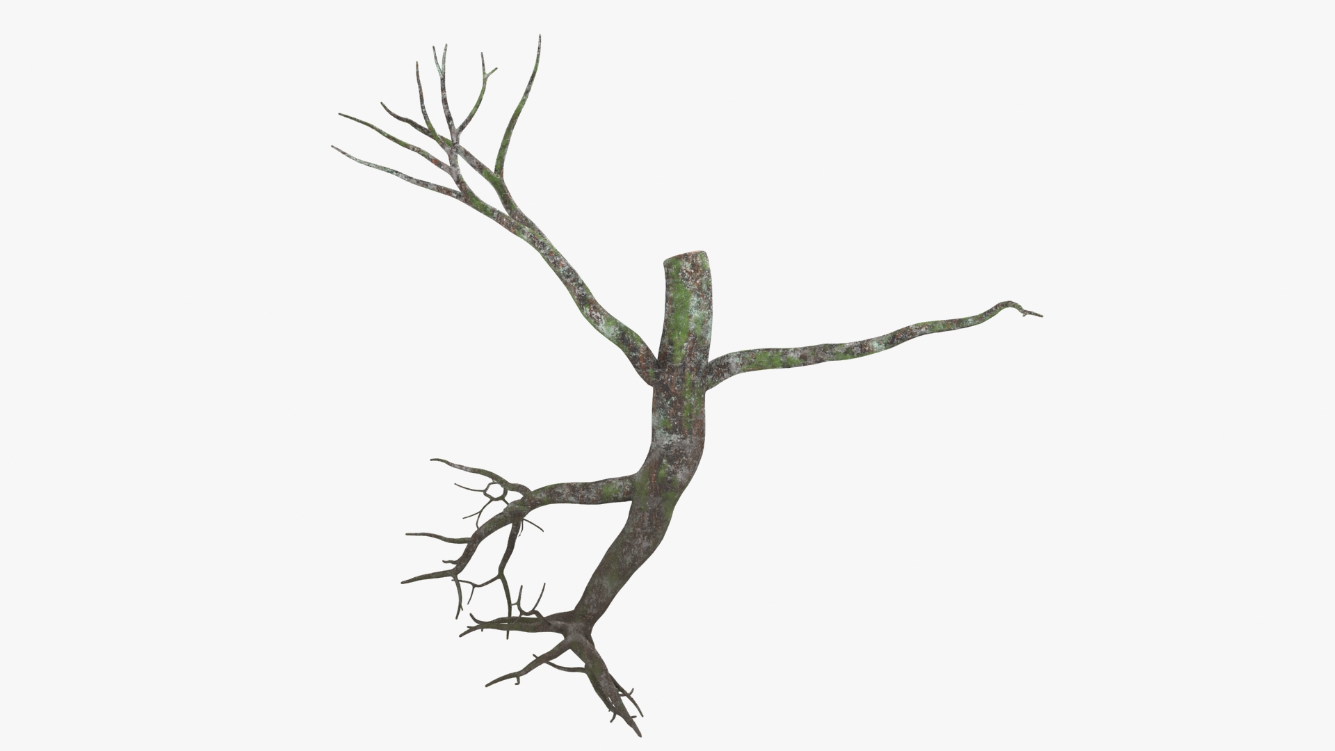 3D Model Tree Root 01 Color 2 - TurboSquid 2139565