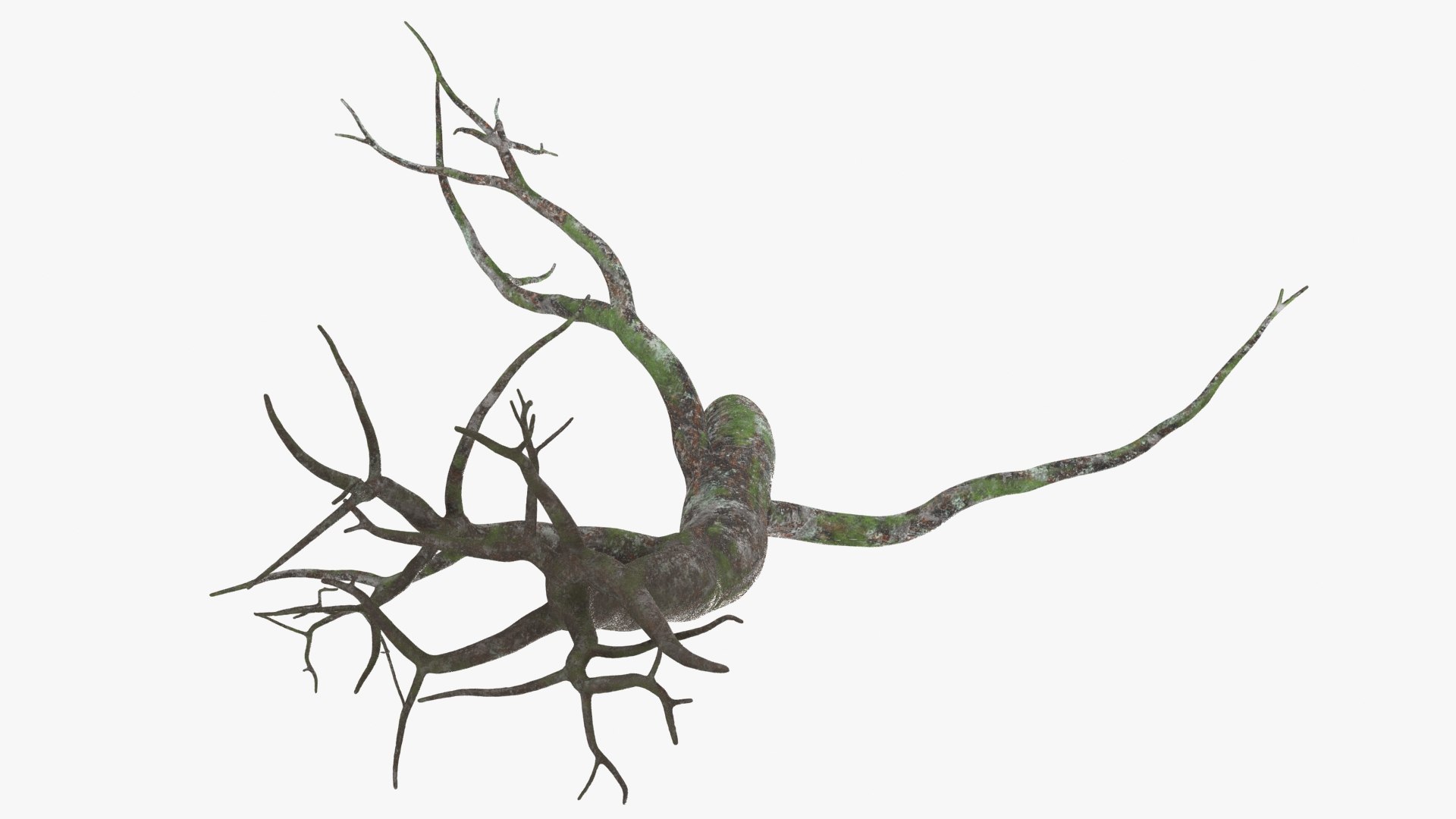 3D Model Tree Root 01 Color 2 - TurboSquid 2139565