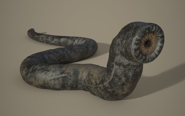 3D Worm Models | TurboSquid