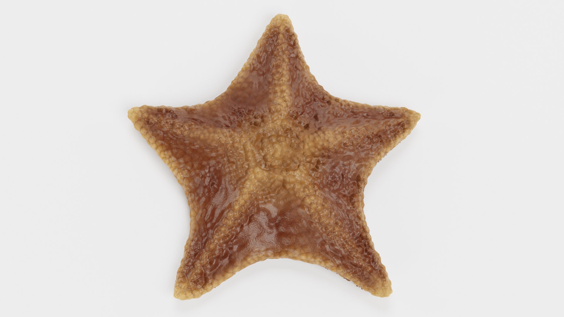 Bat Starfish 3D - TurboSquid 1703790