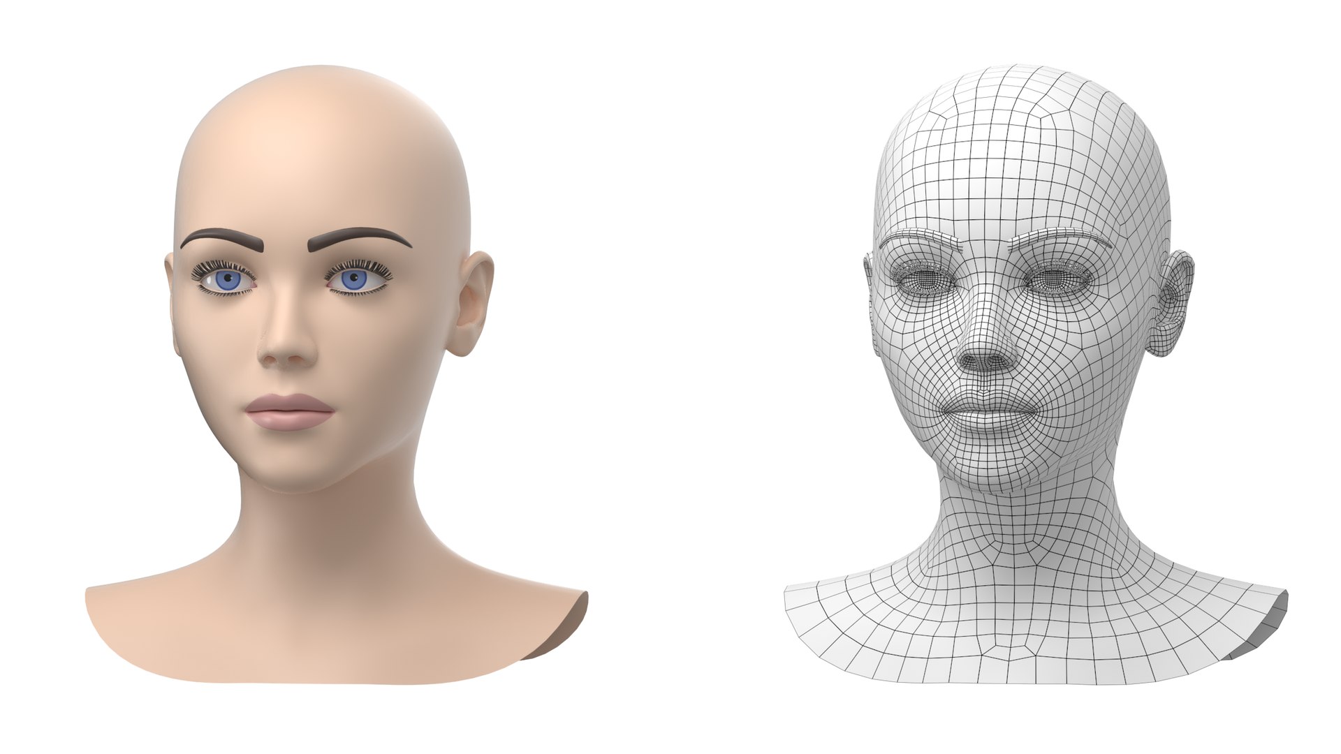 3D Model Stylized Female 01 Head Base Mesh - TurboSquid 2192928