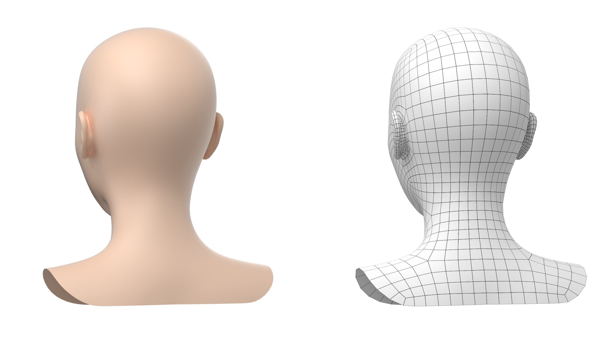 3D Model Stylized Female 01 Head Base Mesh - TurboSquid 2192928