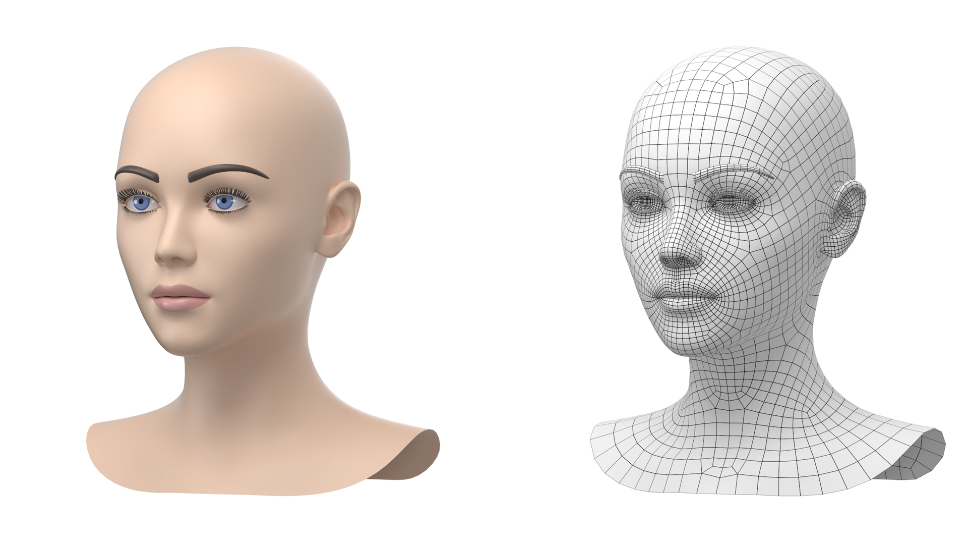 3D Model Stylized Female 01 Head Base Mesh - TurboSquid 2192928