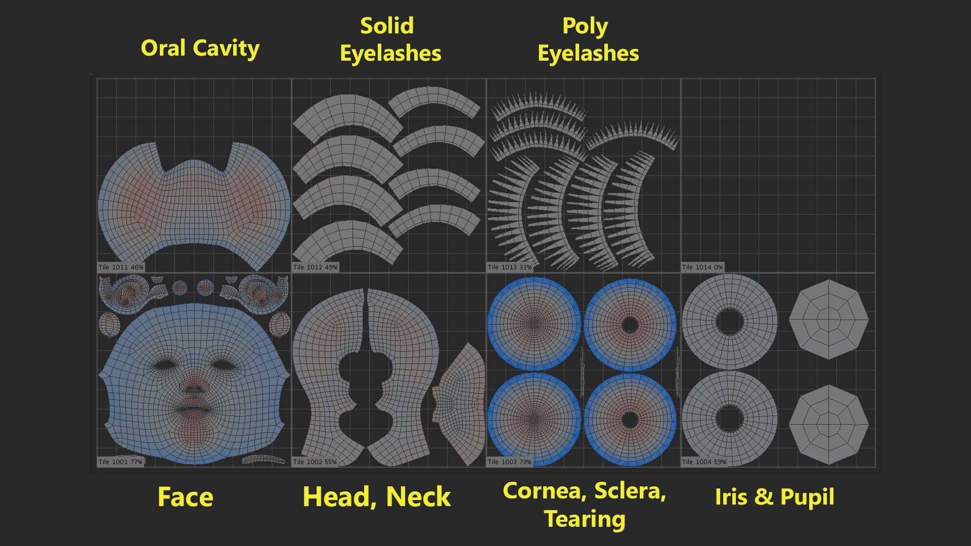 3D Model Stylized Female 01 Head Base Mesh - TurboSquid 2192928