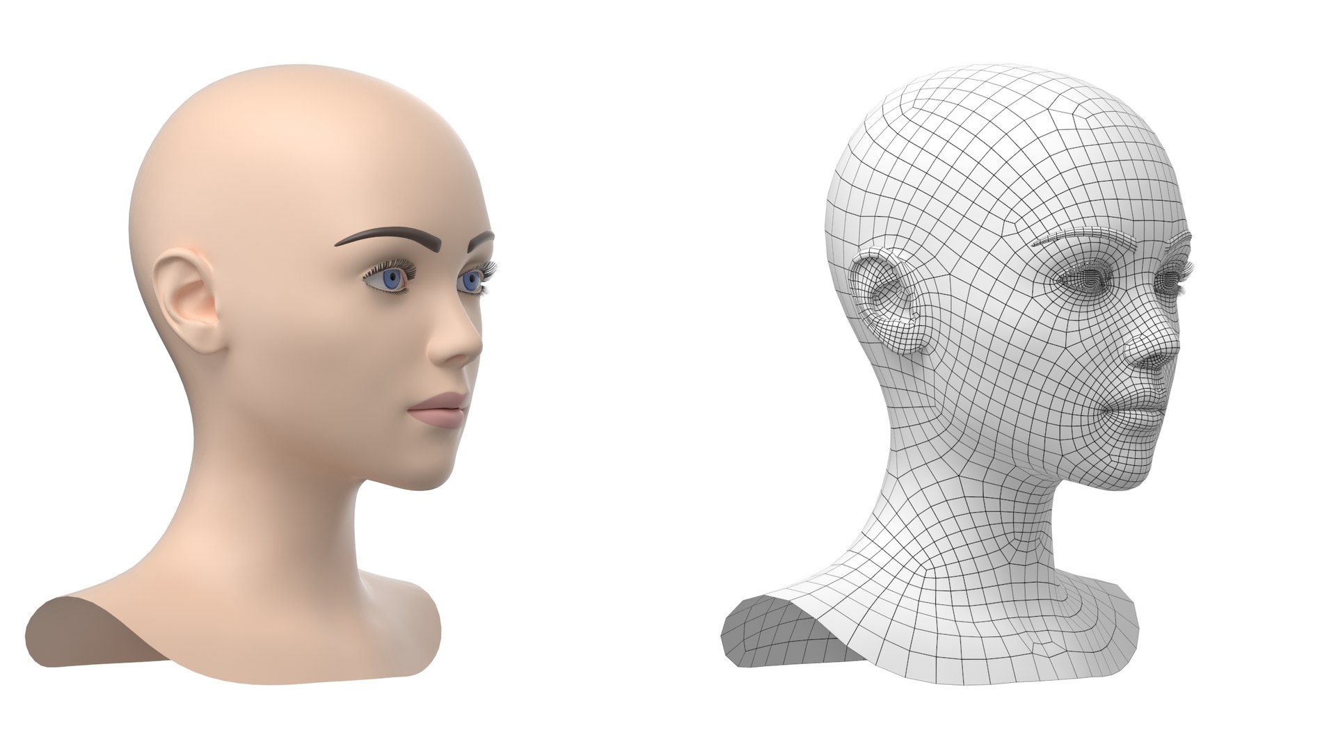 3D Model Stylized Female 01 Head Base Mesh - TurboSquid 2192928