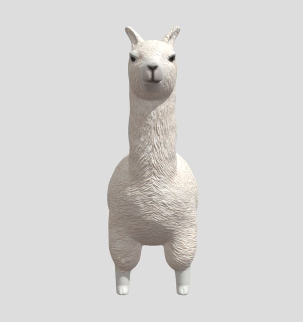 3D White Lama model - TurboSquid 1716313