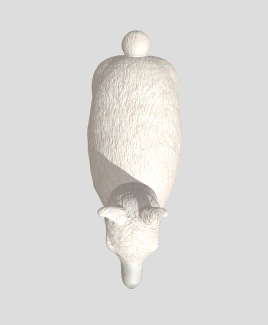3D White Lama model - TurboSquid 1716313
