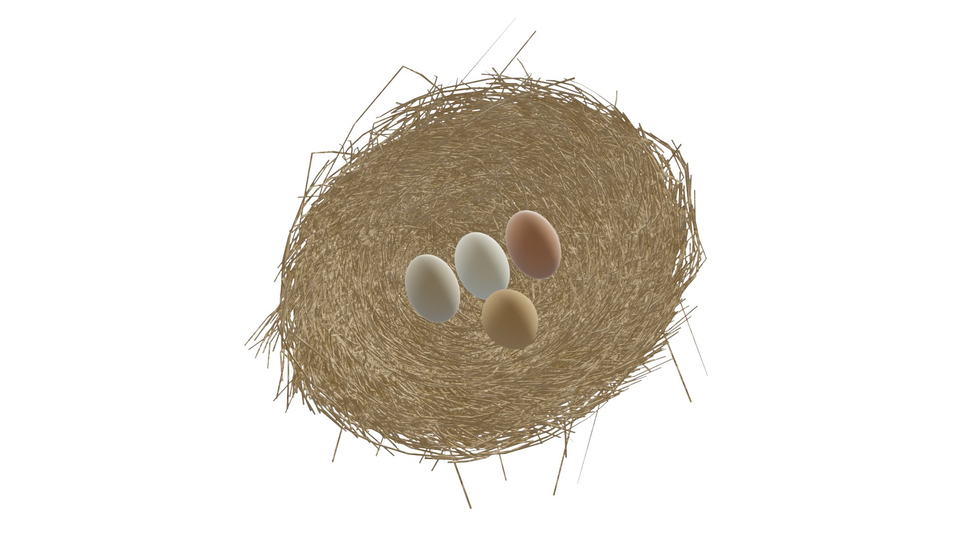 3D Model Bird Nest - TurboSquid 1851610