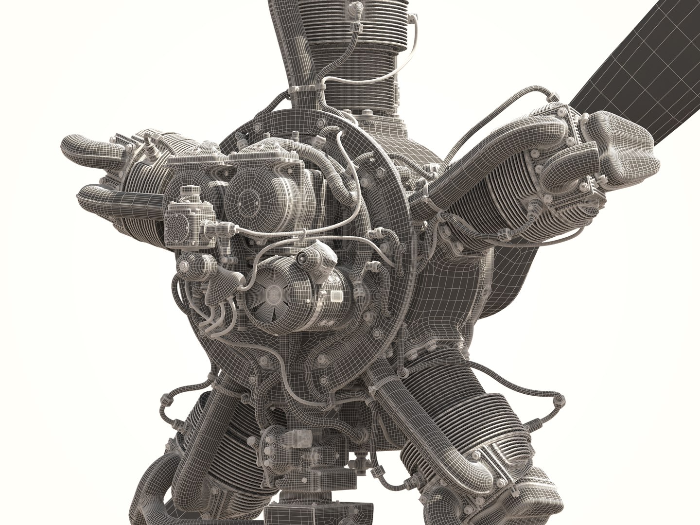 Shvetsov M-11 Radial Aircraft 3D Model - TurboSquid 1552317