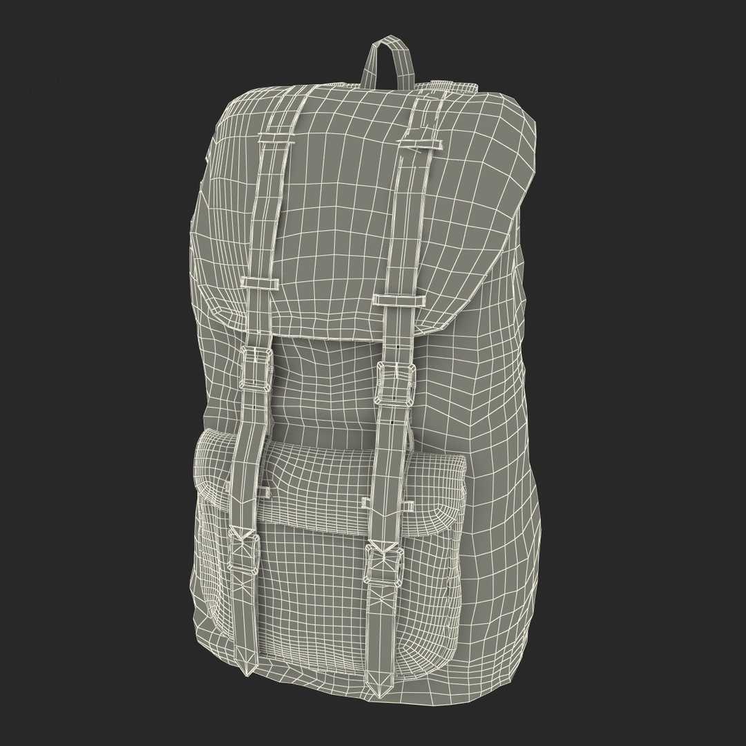 3d Obj Backpack 8 Vinous