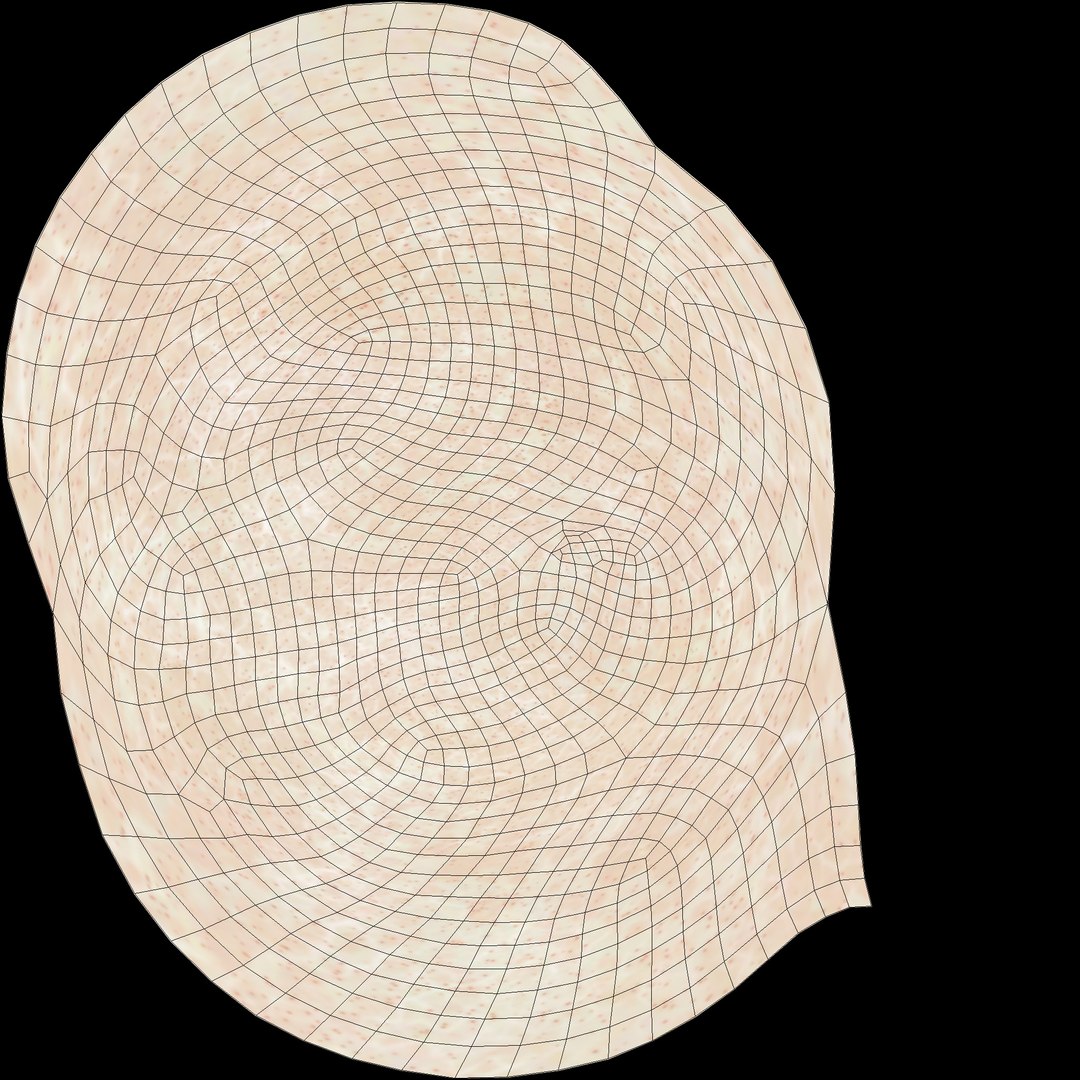 White blood cell basophil 3D model - TurboSquid 1326387