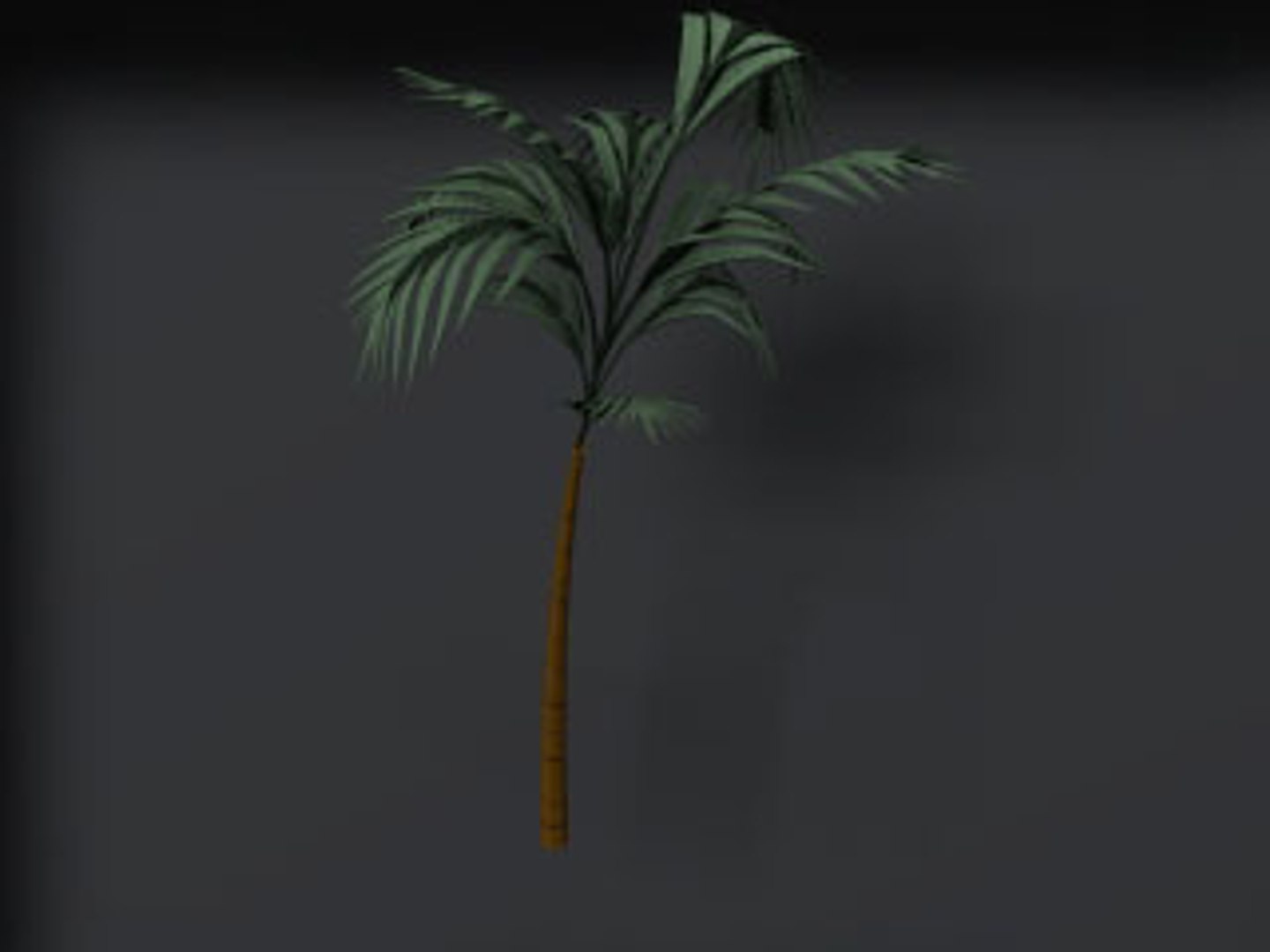 3d Palm Tree Model