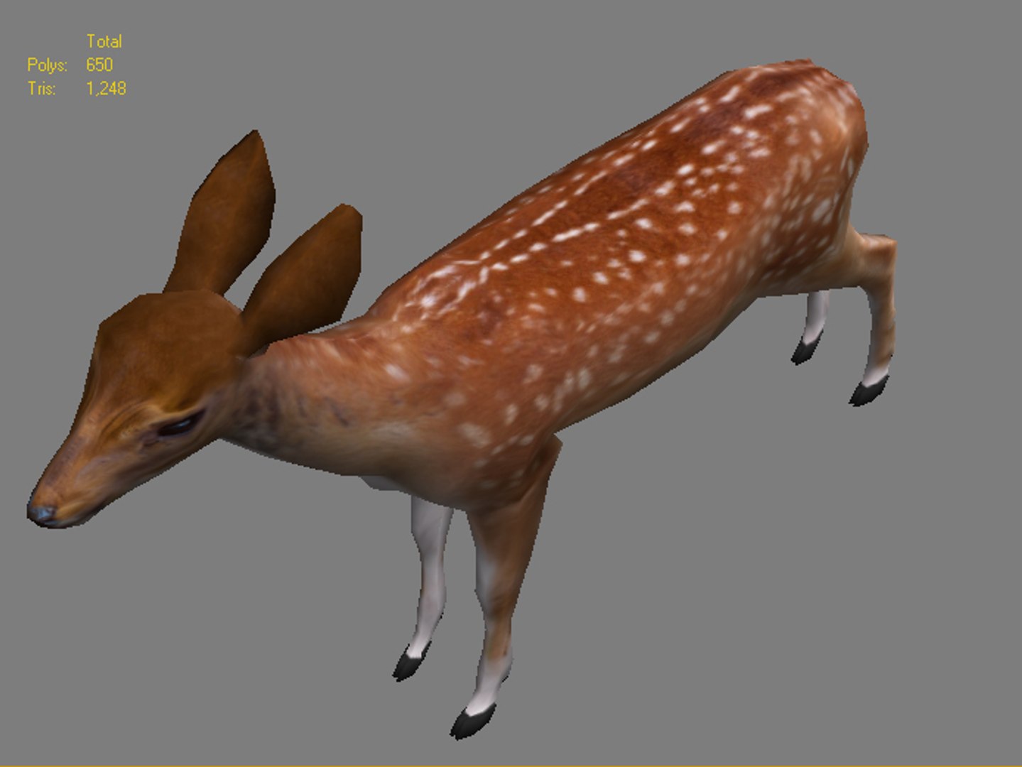 Fallow Deer Summer 3d Model