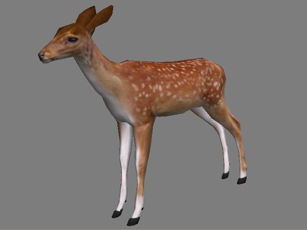 Fawn 3D Models for Download | TurboSquid