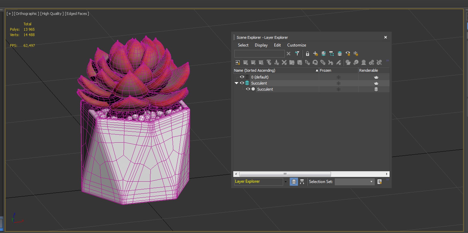 3D succulent plant - TurboSquid 1577557