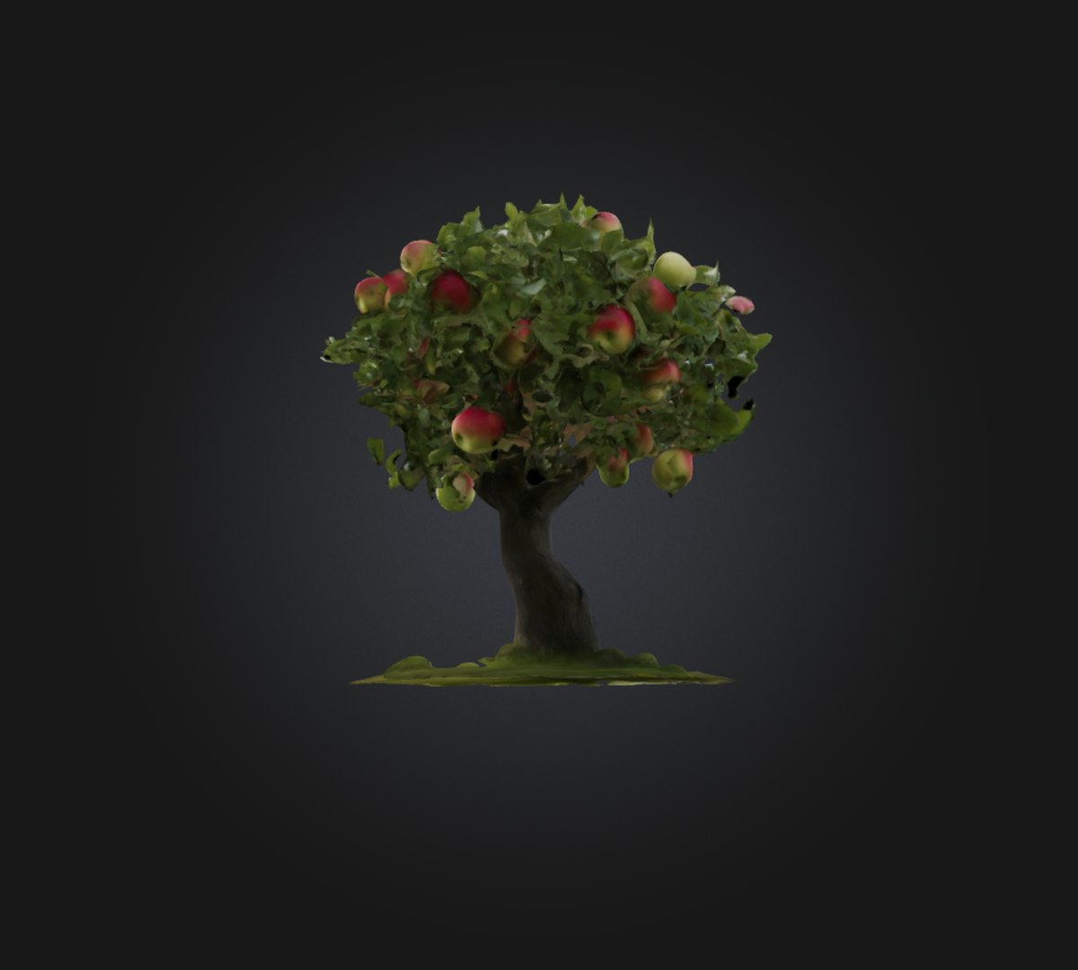 3D Apple Tree 2 - TurboSquid 2284828