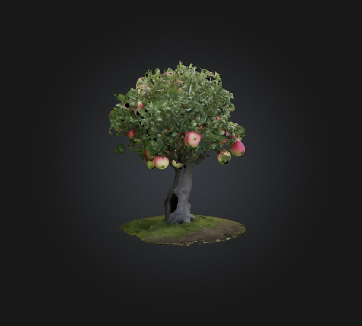 3D Apple Tree 2 - TurboSquid 2284828