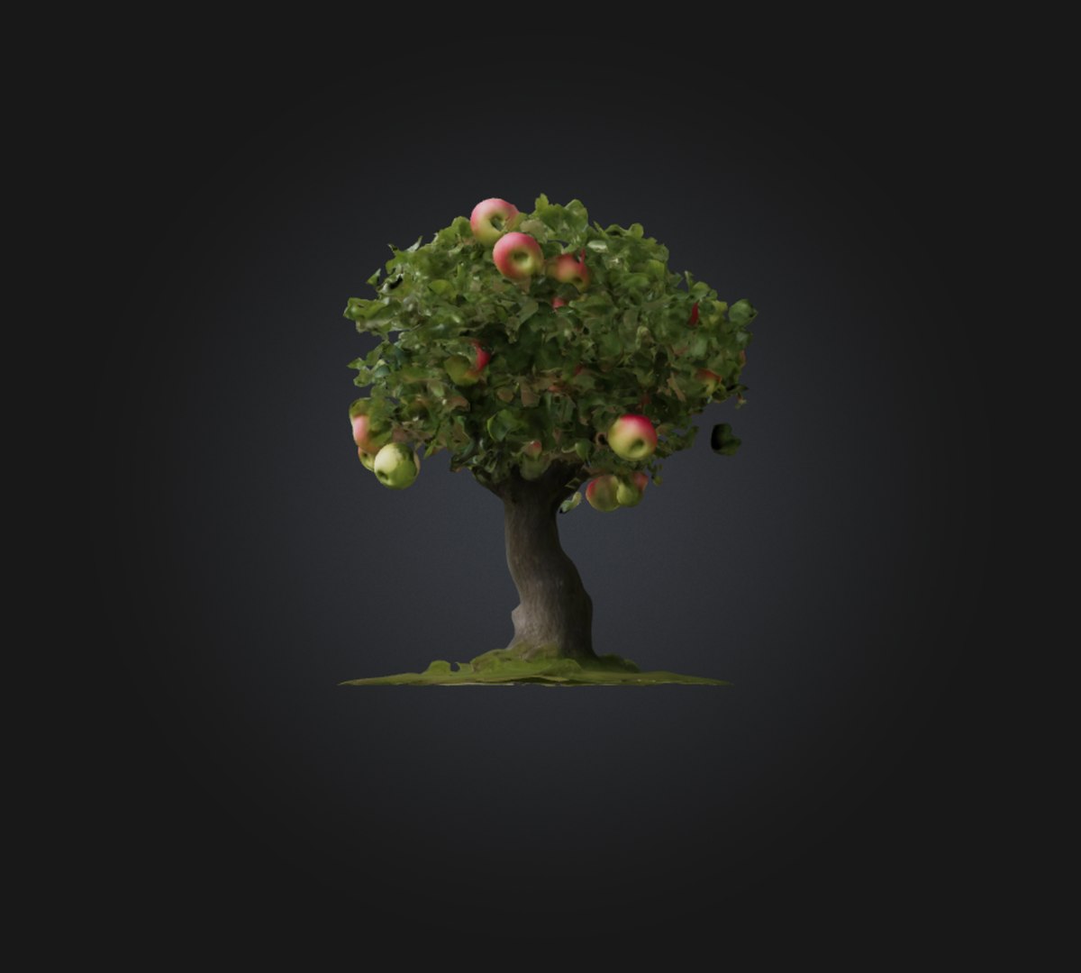 3D Apple Tree 2 - TurboSquid 2284828