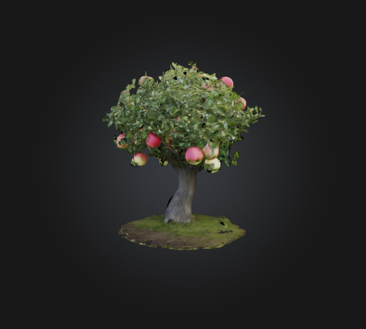 3D Apple Tree 2 - TurboSquid 2284828