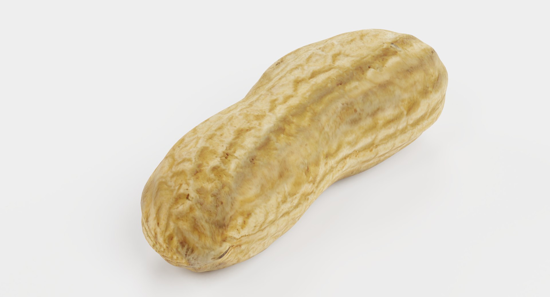 Peanut Husk Model - TurboSquid 1240152