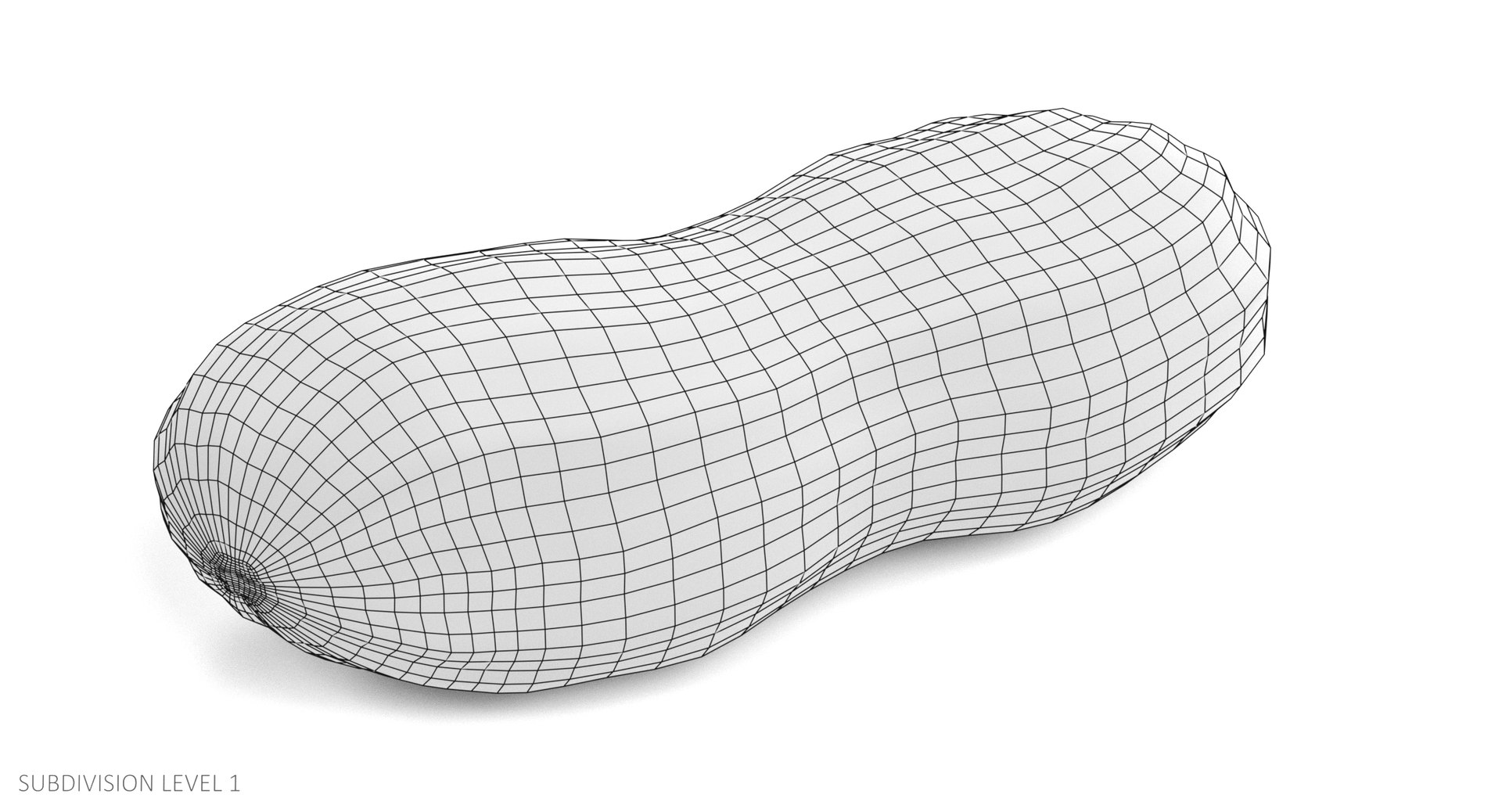 Peanut Husk Model - TurboSquid 1240152