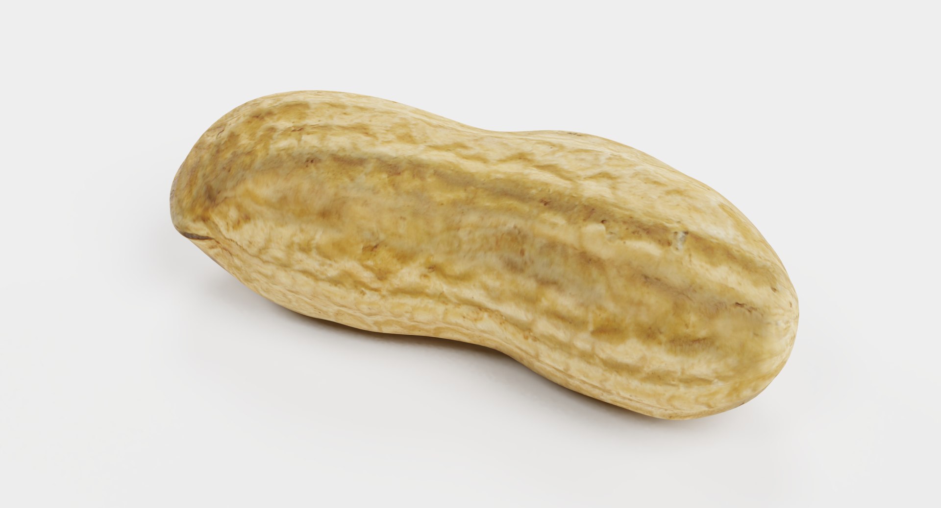 Peanut Husk Model - TurboSquid 1240152