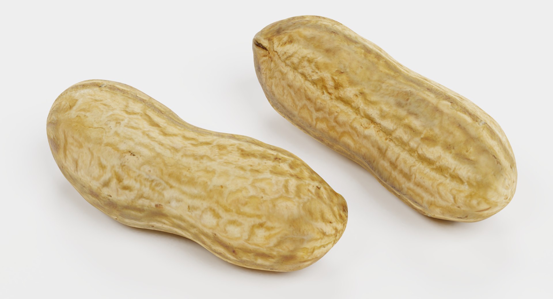 Peanut Husk Model - TurboSquid 1240152