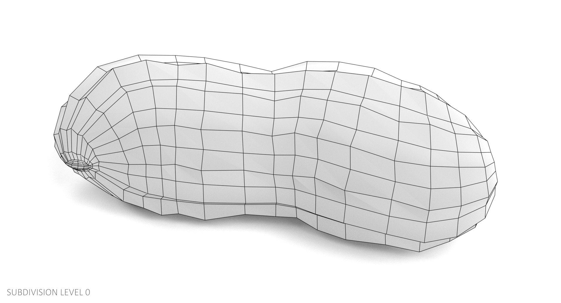 Peanut Husk Model - TurboSquid 1240152