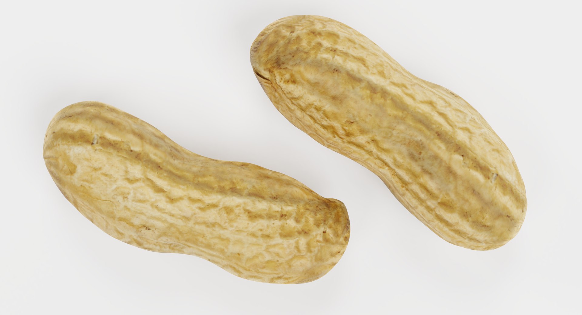 Peanut Husk Model - TurboSquid 1240152