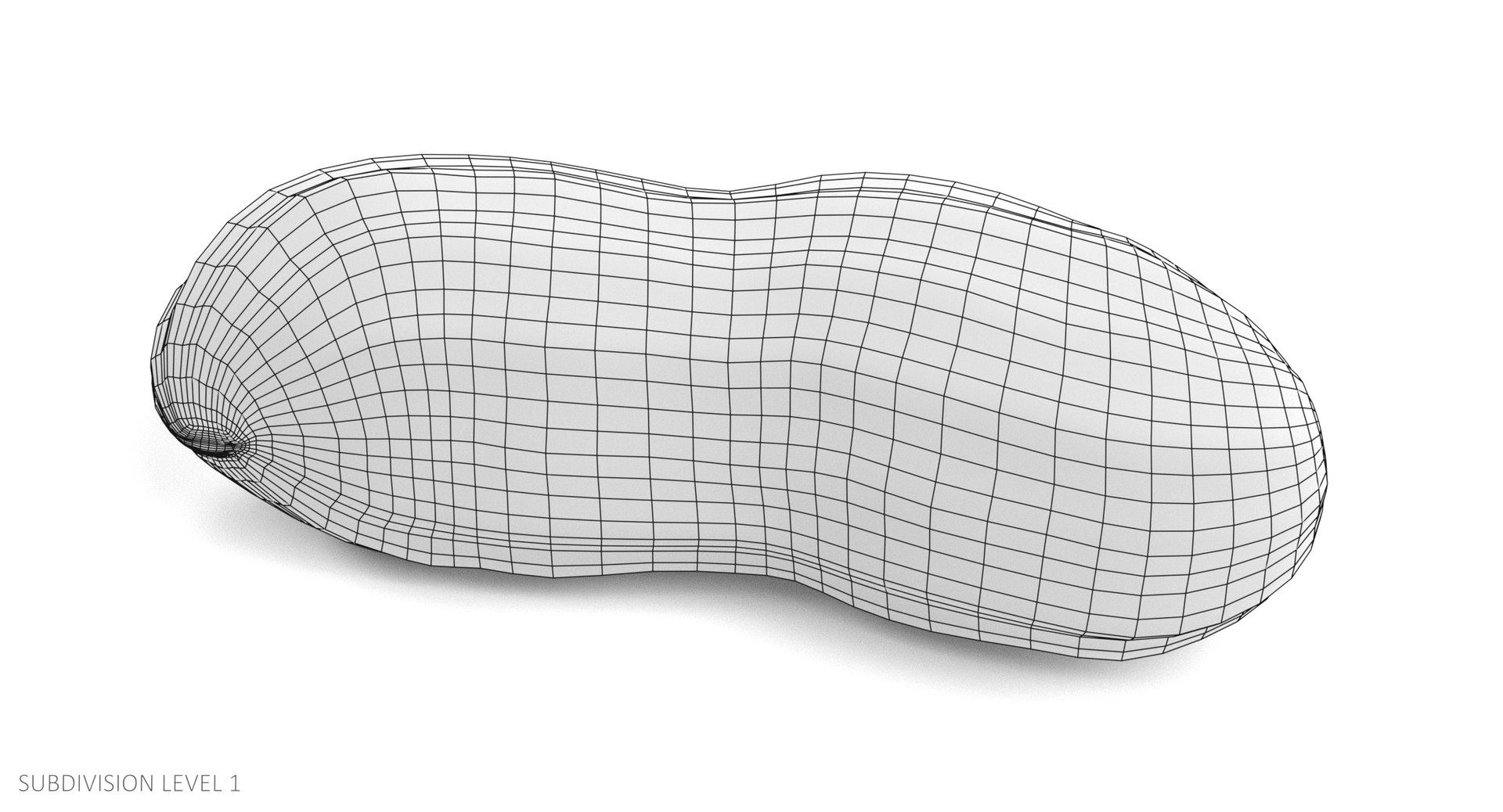 Peanut Husk Model - TurboSquid 1240152