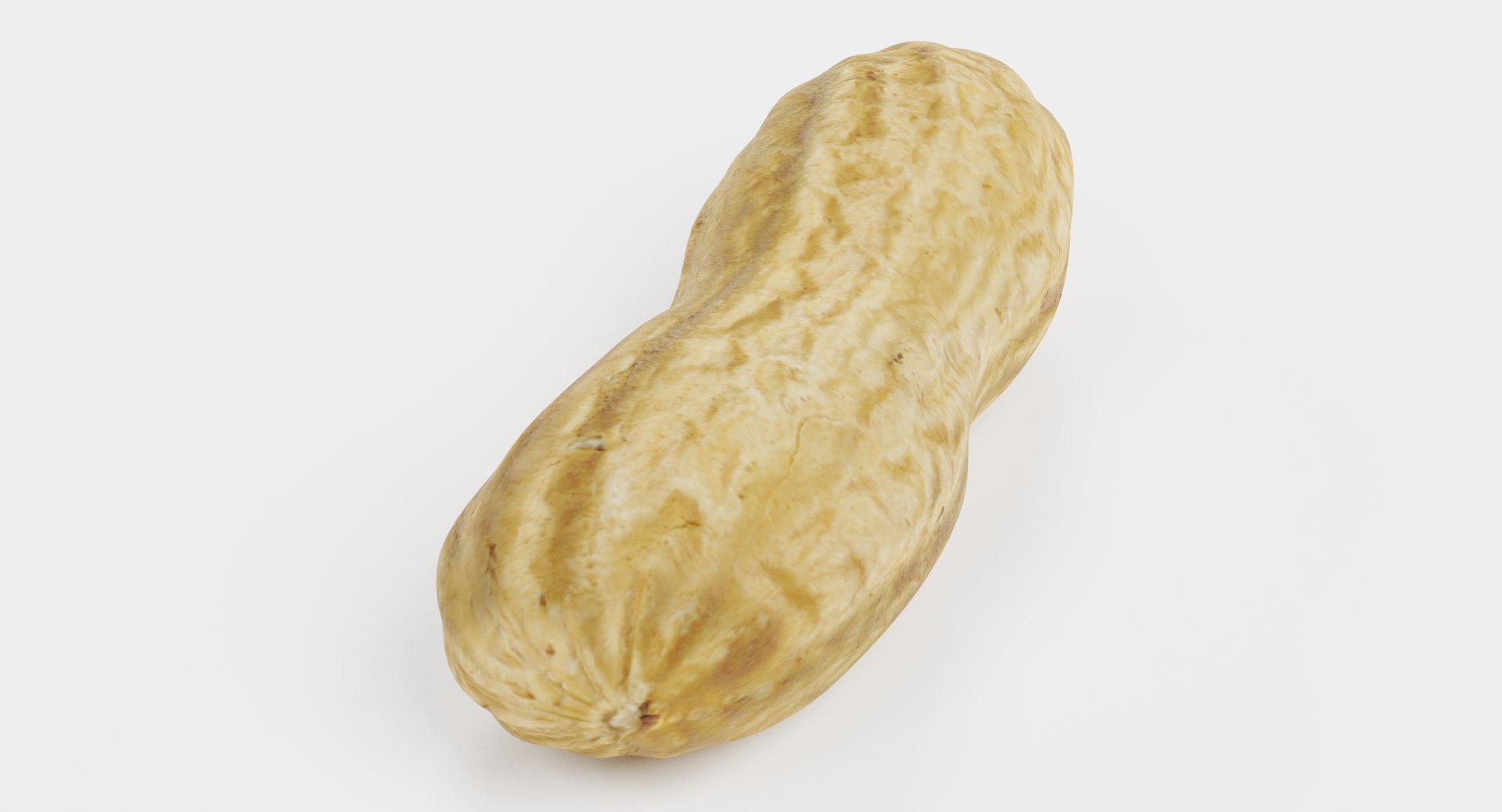 Peanut Husk Model - TurboSquid 1240152