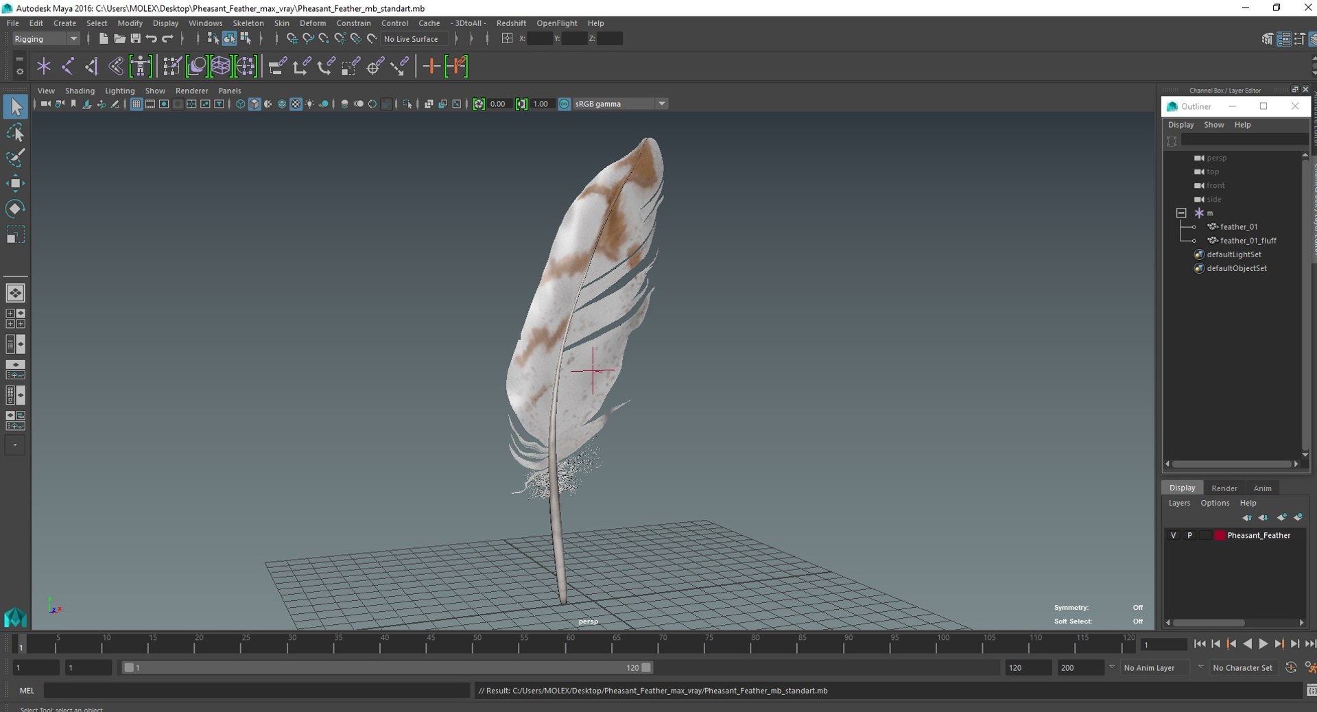 3D Model Pheasant Feather - TurboSquid 2163507
