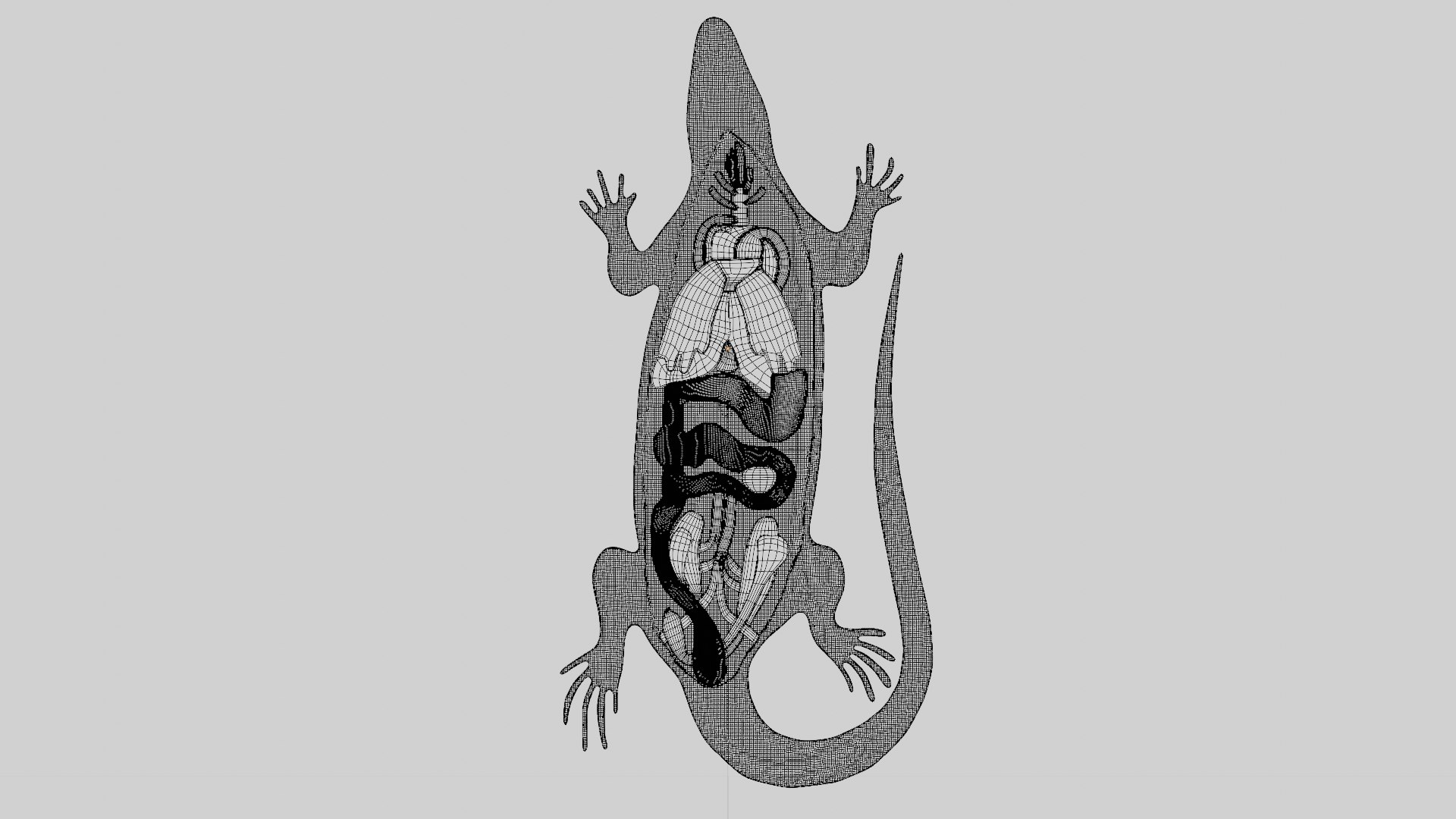 3D Lizard 3d Model - TurboSquid 2311146