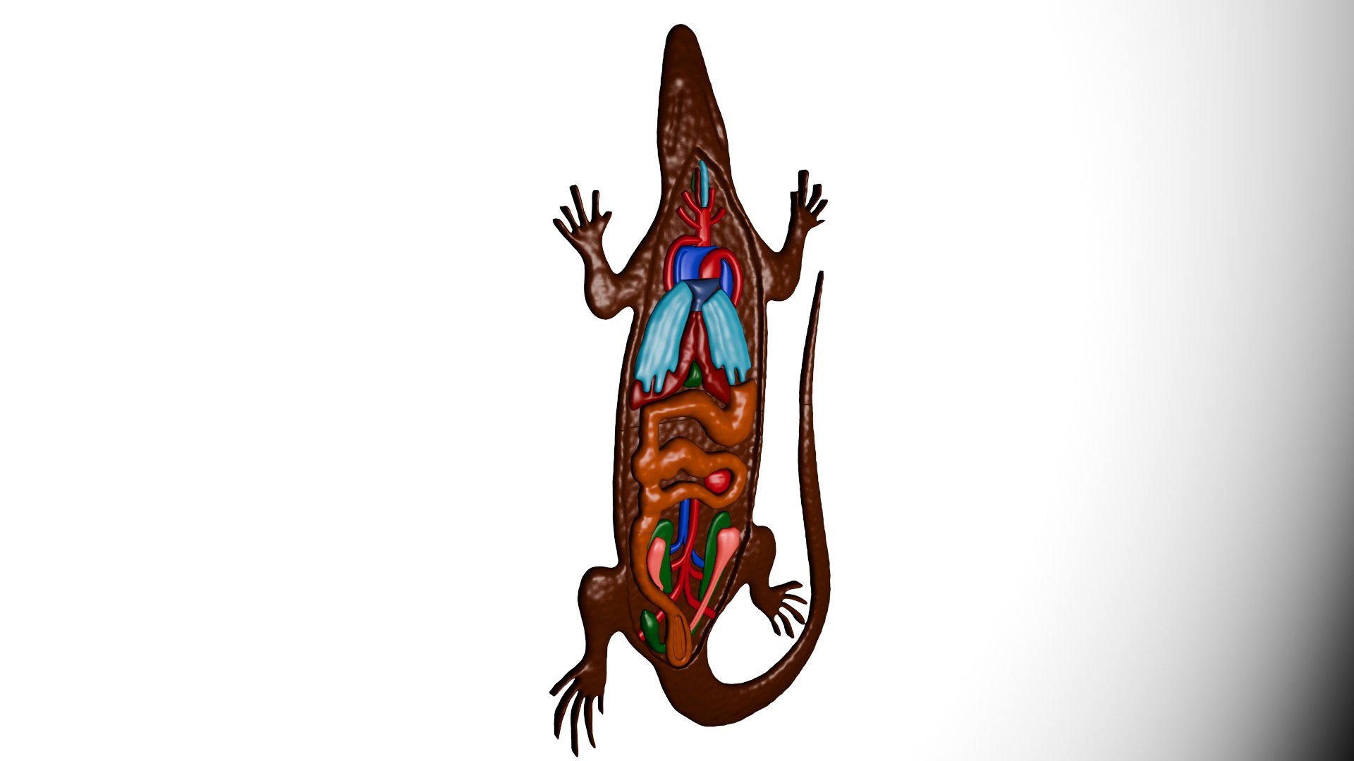 3D Lizard 3d Model - TurboSquid 2311146