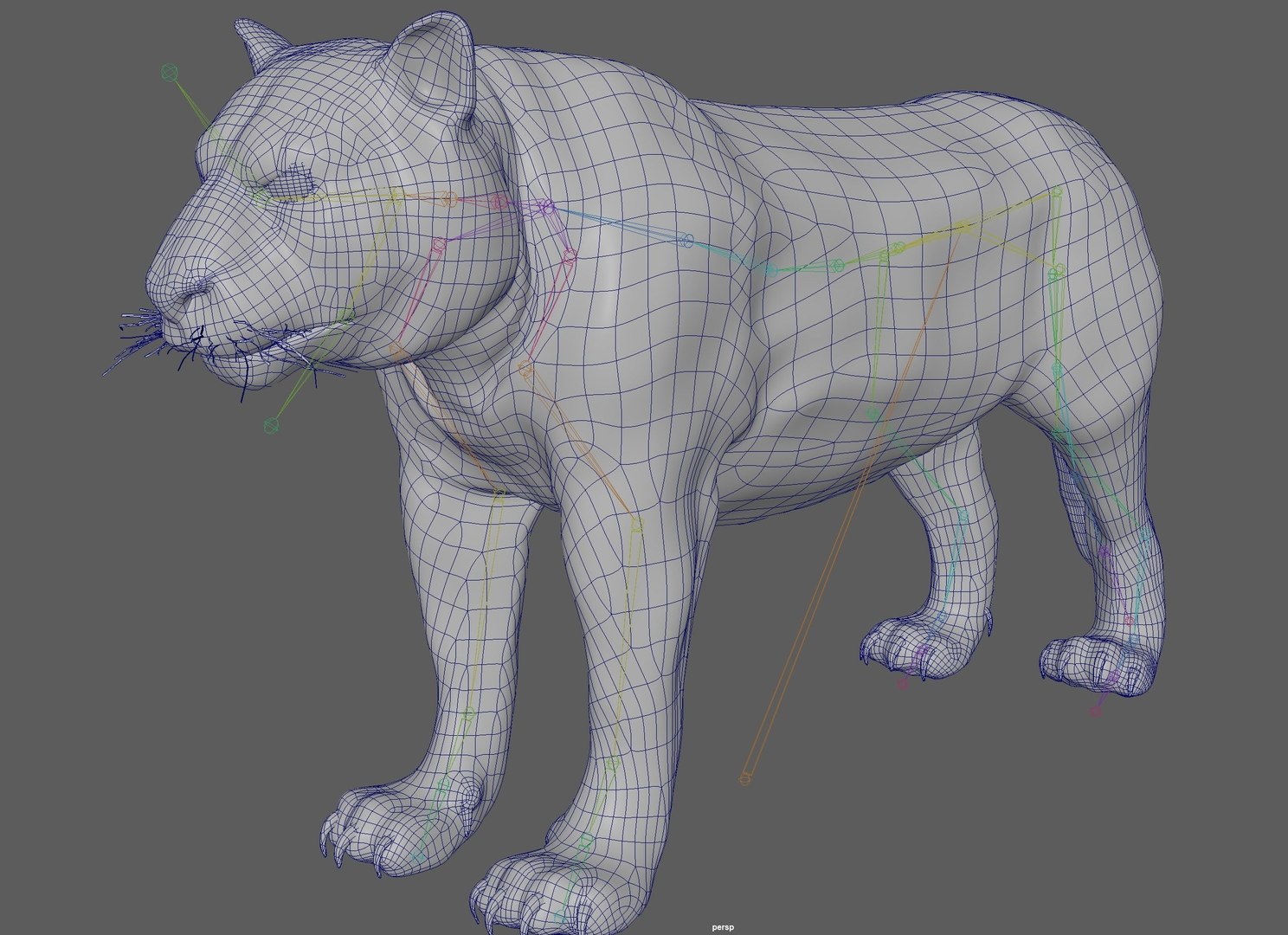 3D Model Tiger Rigged - TurboSquid 1880954