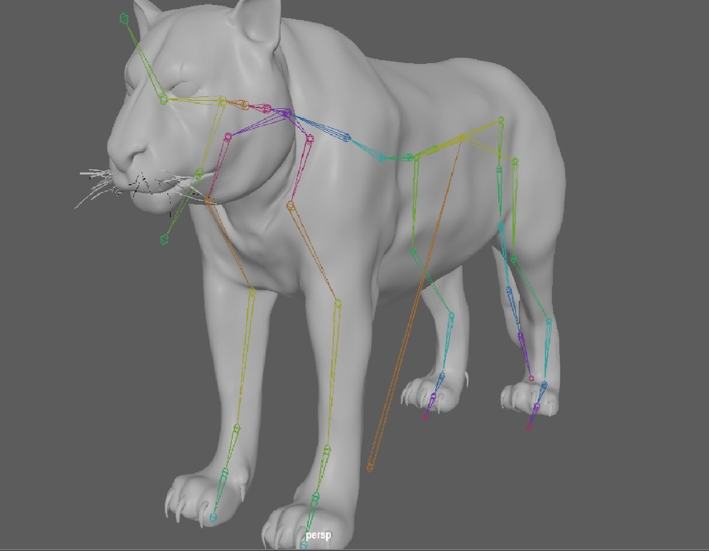 3D Model Tiger Rigged - TurboSquid 1880954