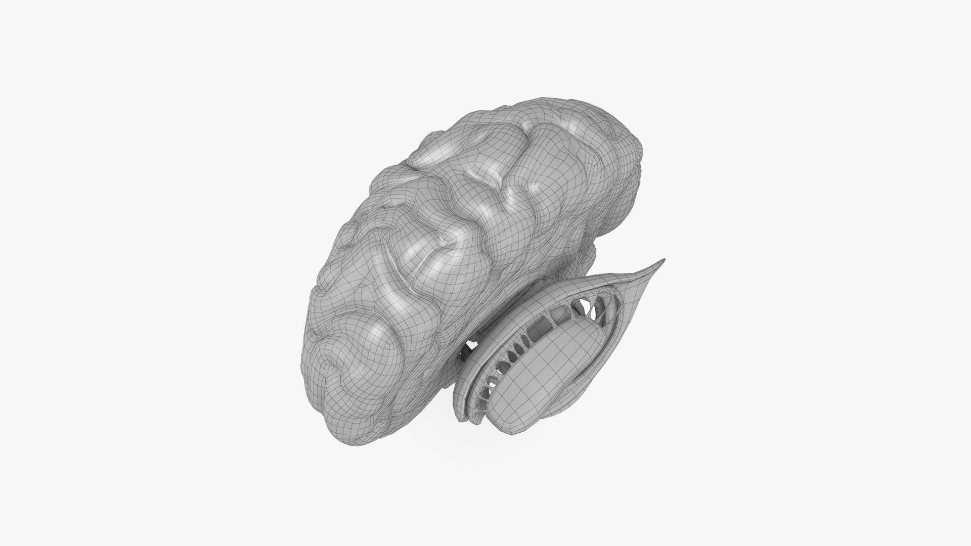 3D model Human Brain Cross Section - TurboSquid 2181519