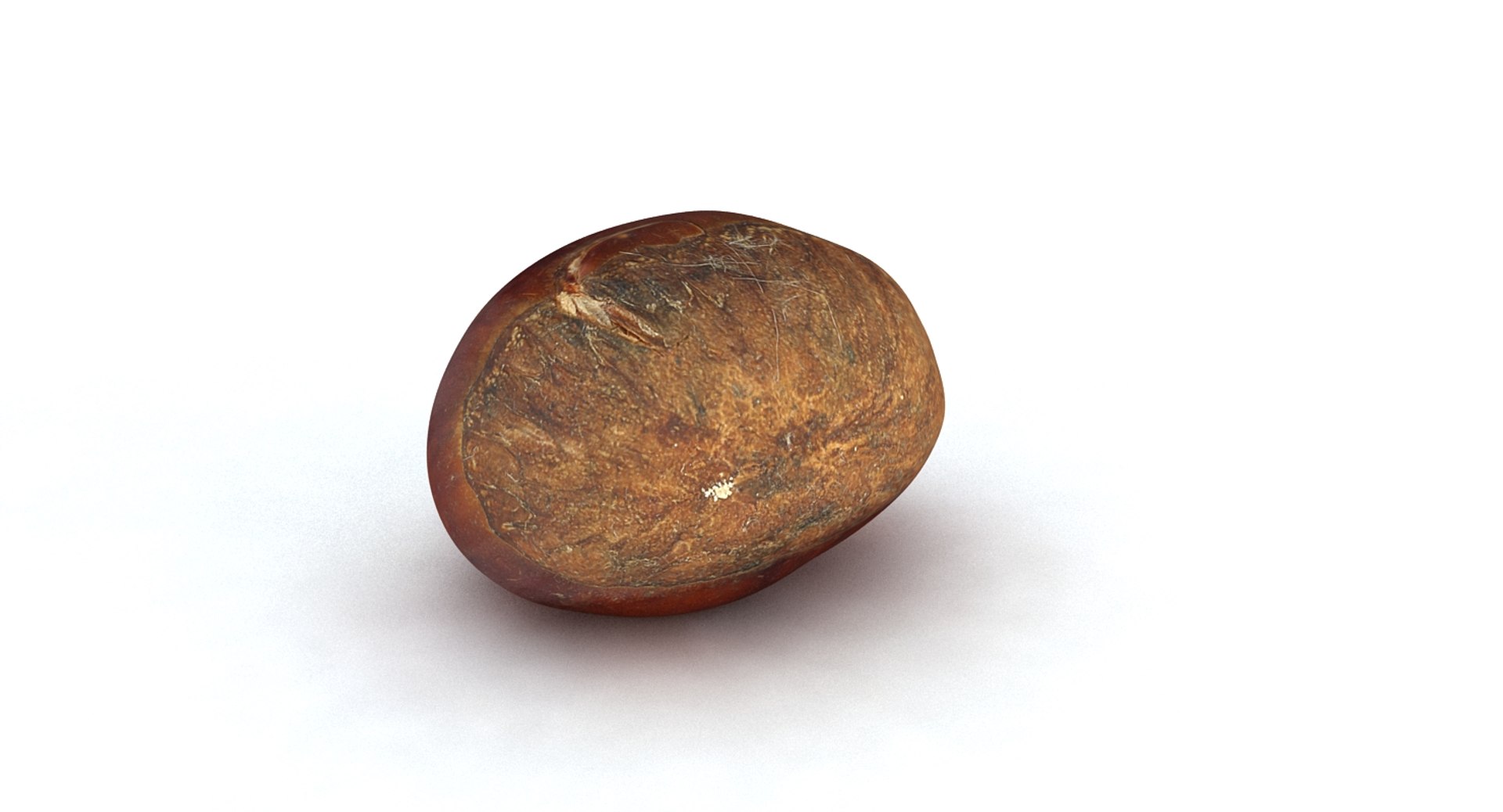 Chestnut Nut Max