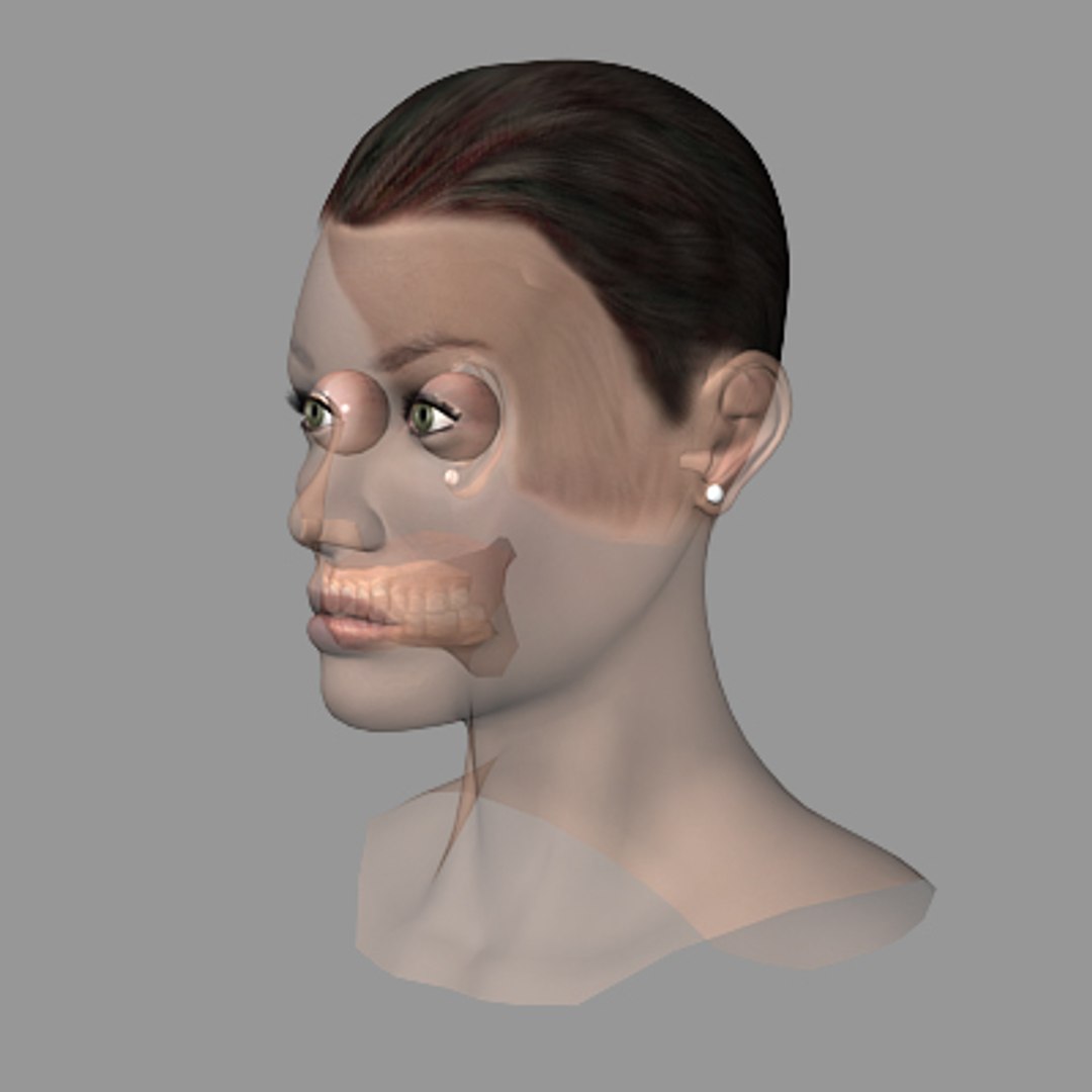 3d hand aj head model