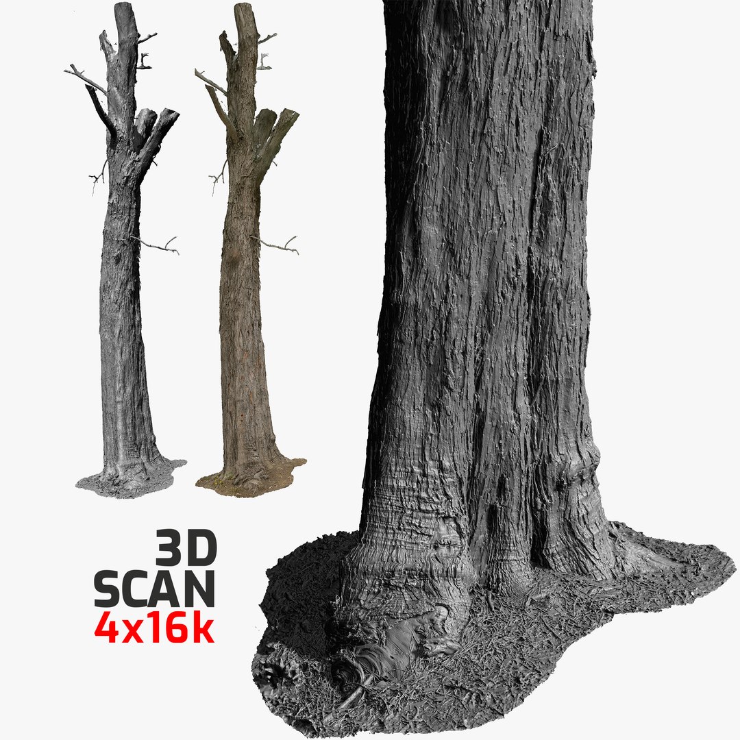Tree 3D Scan 4x16k Textures 3D model - TurboSquid 1795738