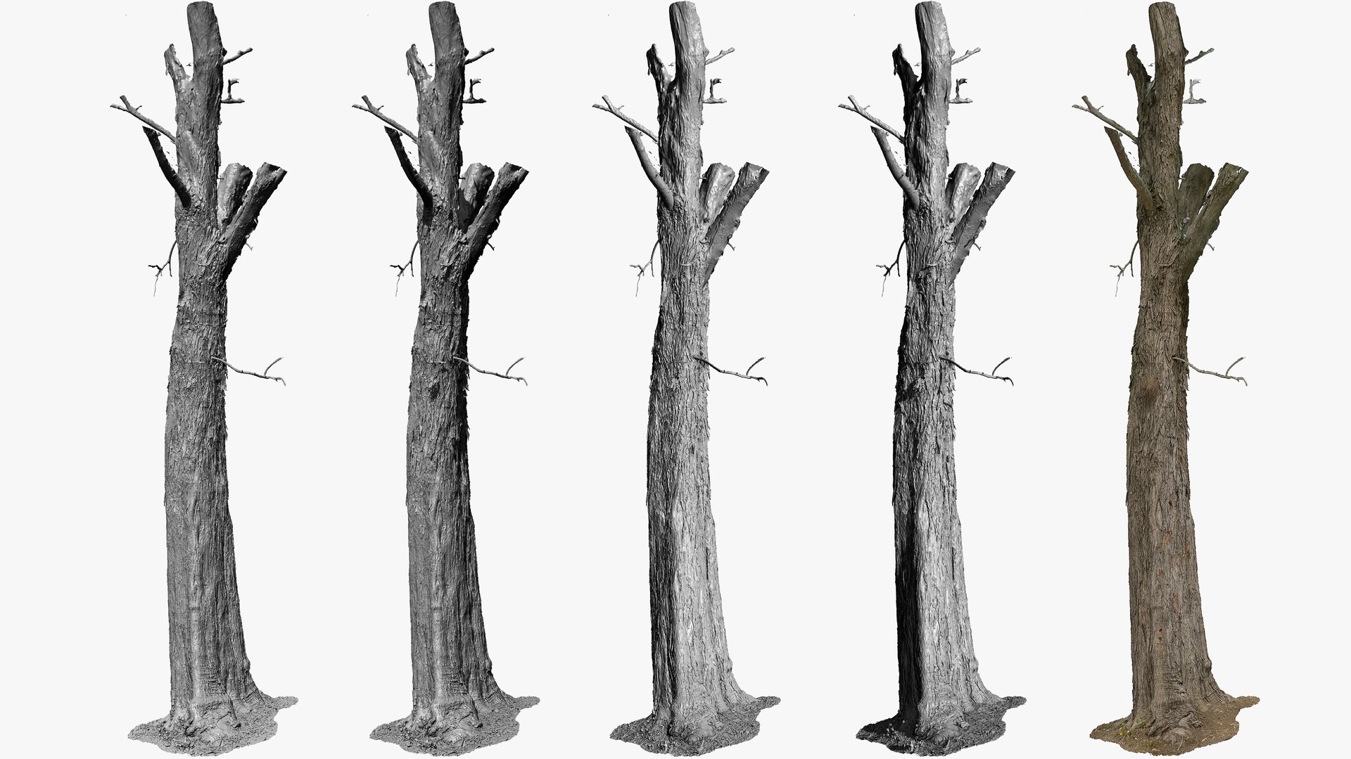 Tree 3D Scan 4x16k Textures 3D model - TurboSquid 1795738