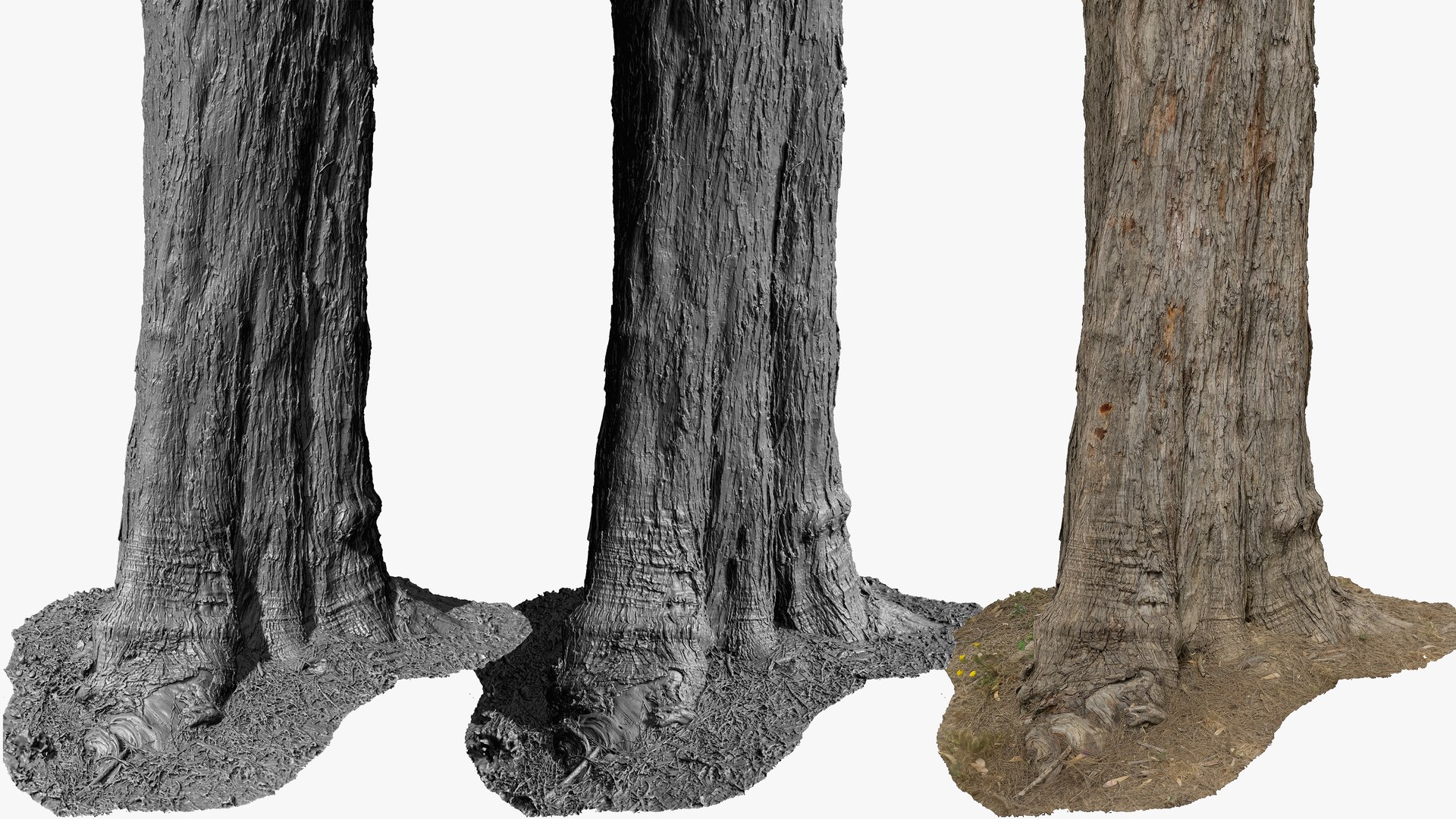 Tree 3D Scan 4x16k Textures 3D model - TurboSquid 1795738