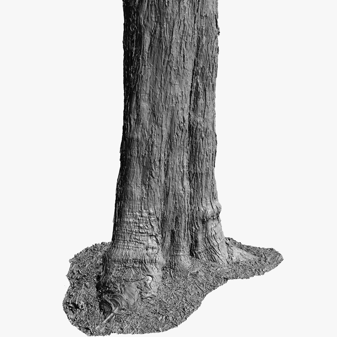 Tree 3D Scan 4x16k Textures 3D model - TurboSquid 1795738