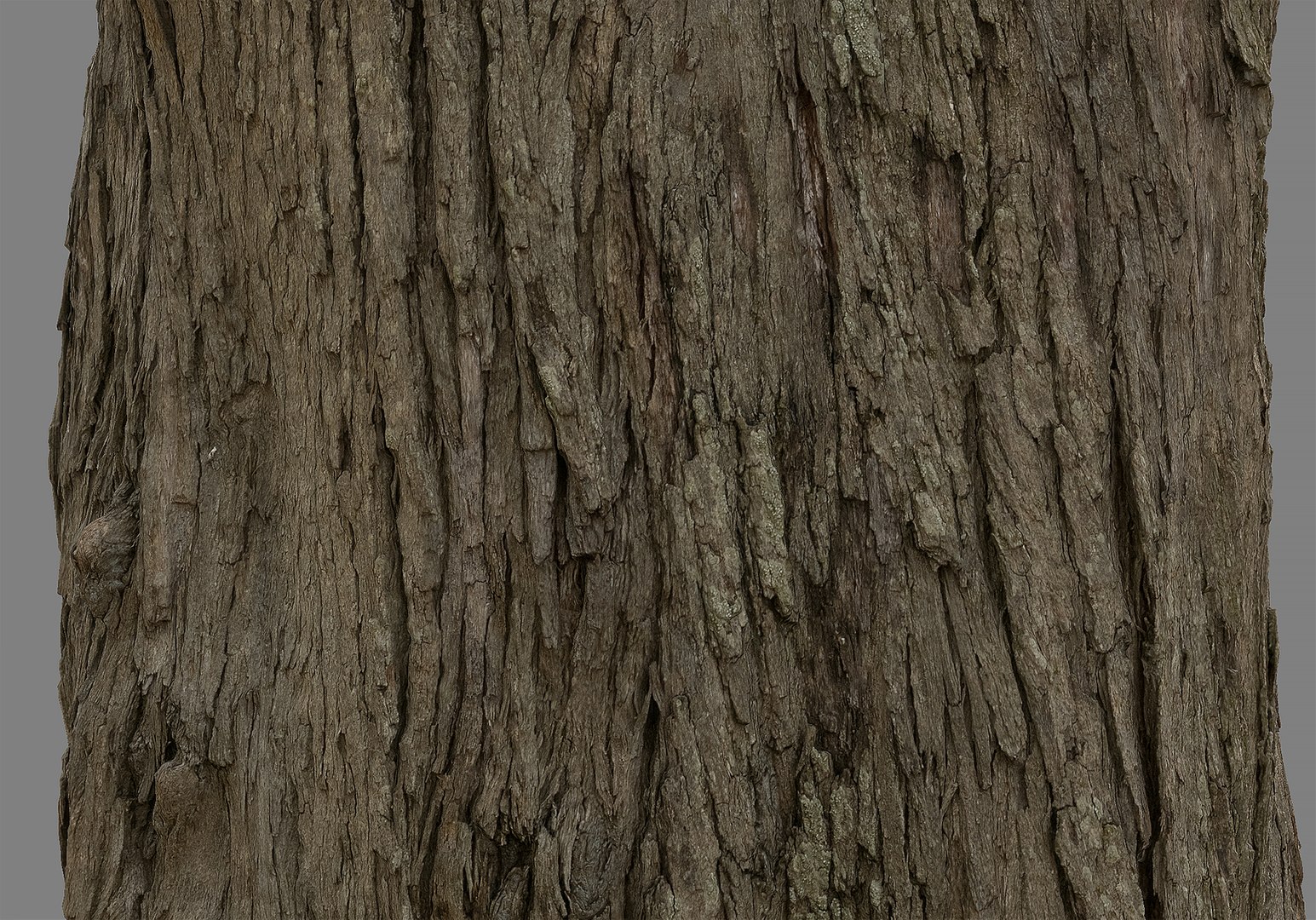 Tree 3D Scan 4x16k Textures 3D model - TurboSquid 1795738