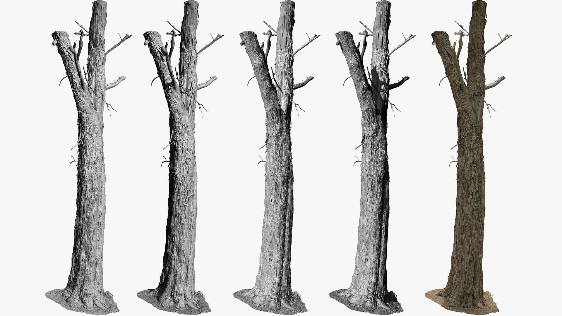 Tree 3D Scan 4x16k Textures 3D model - TurboSquid 1795738