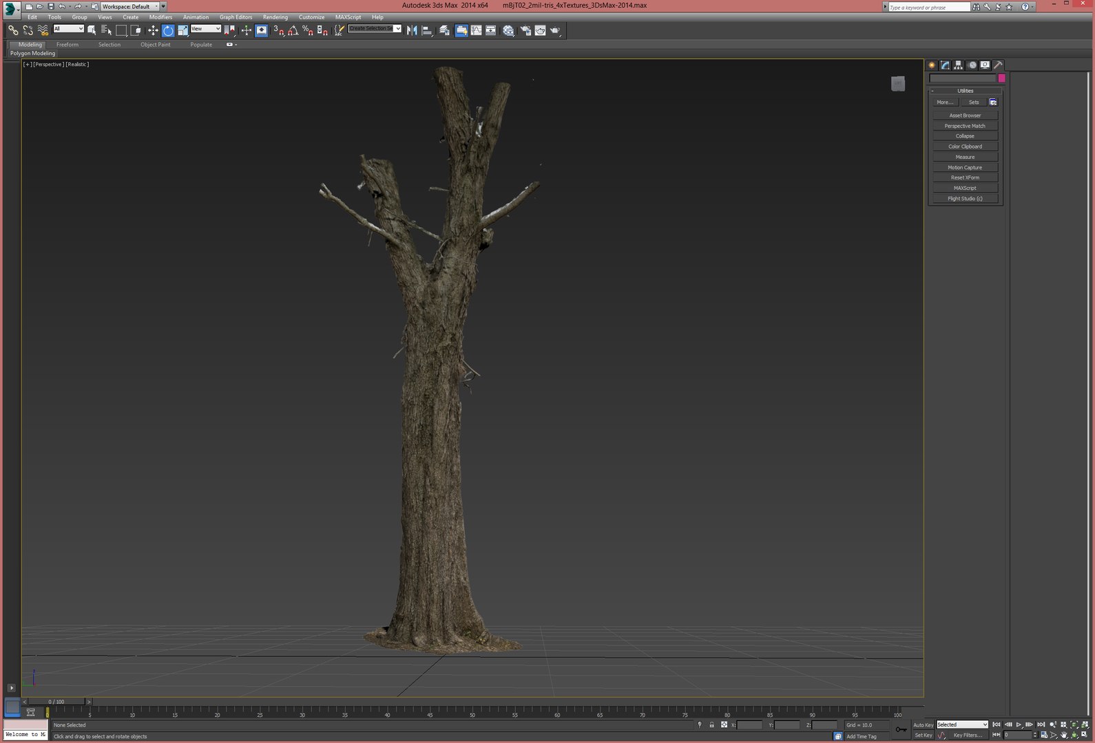 Tree 3D Scan 4x16k Textures 3D model - TurboSquid 1795738