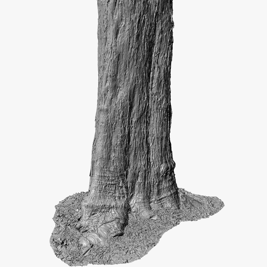 Tree 3D Scan 4x16k Textures 3D model - TurboSquid 1795738