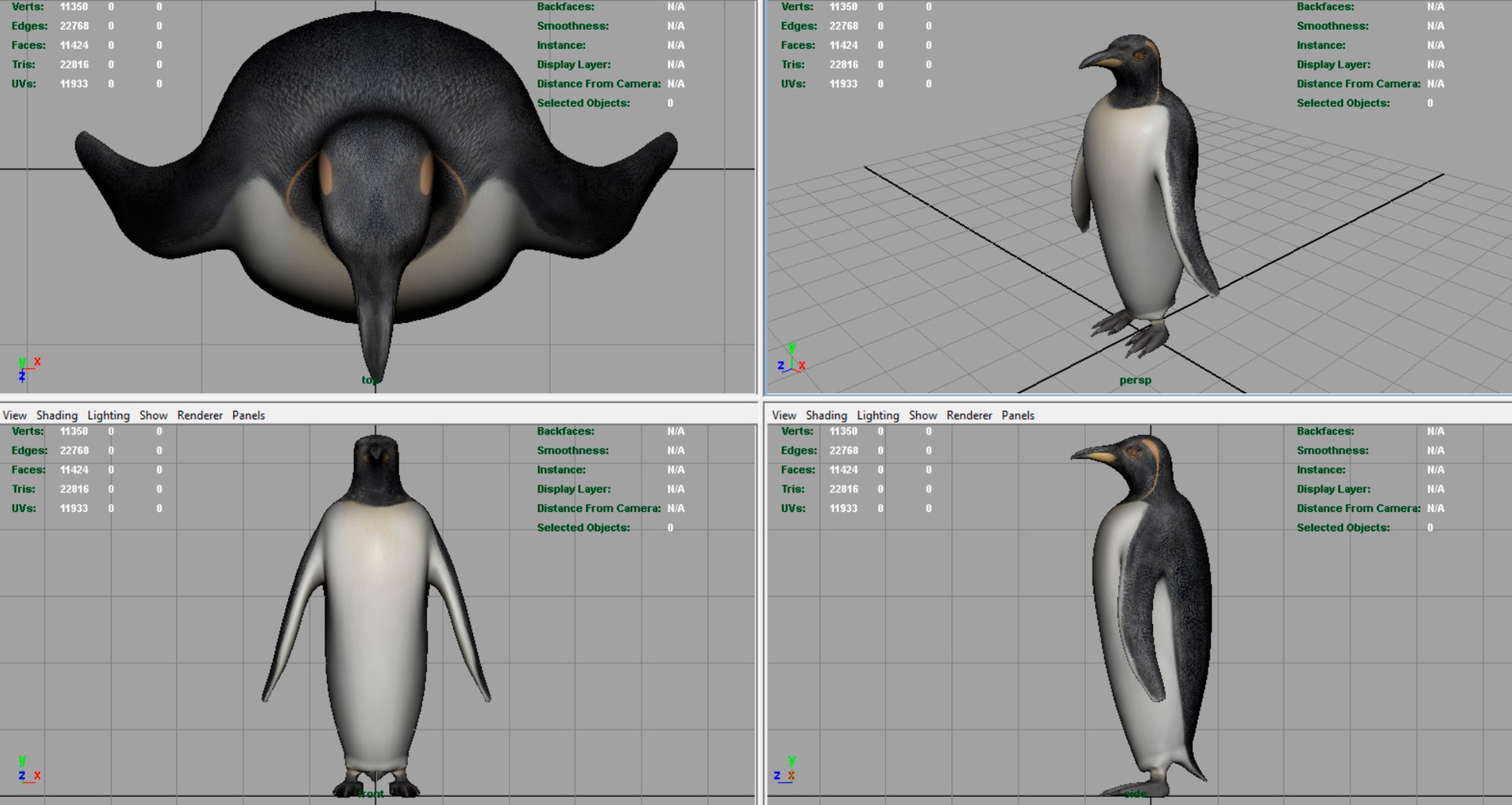 Penguin Animal 3D Model - TurboSquid 1372094