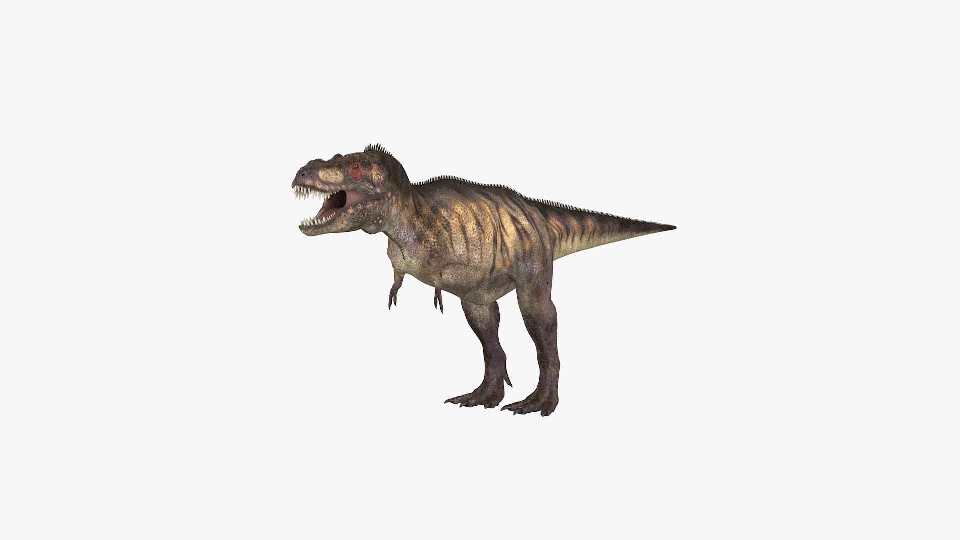 3D Model Tyrannosaurus - TurboSquid 1844374